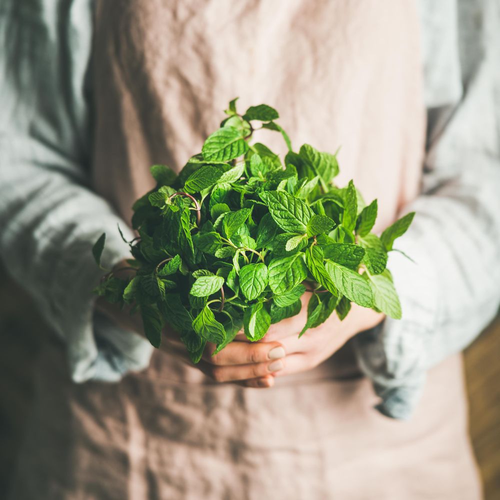 Why Buying Locally Sourced Food Is A Sustainable Choice – Eat FRESH HK